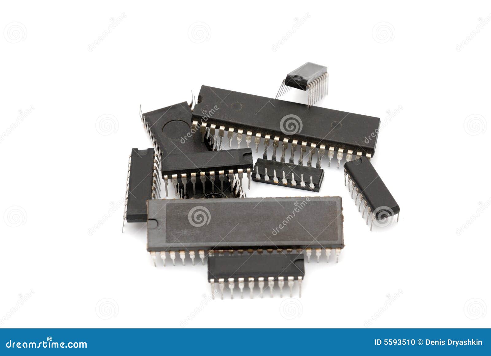 Computer microchips stock photo. Image of industry, engineering - 5593510