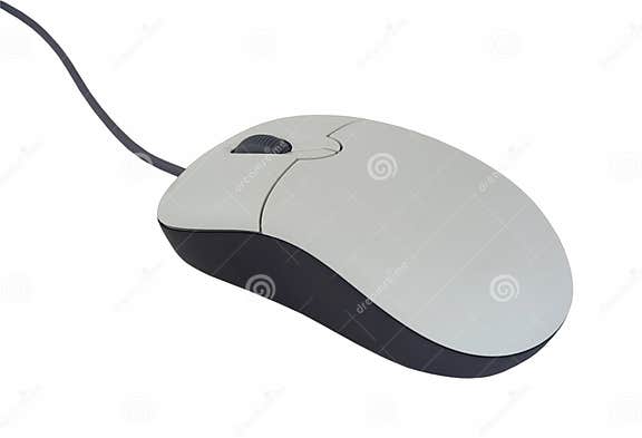 Computer mouse stock image. Image of comfortable, cutout - 3943147