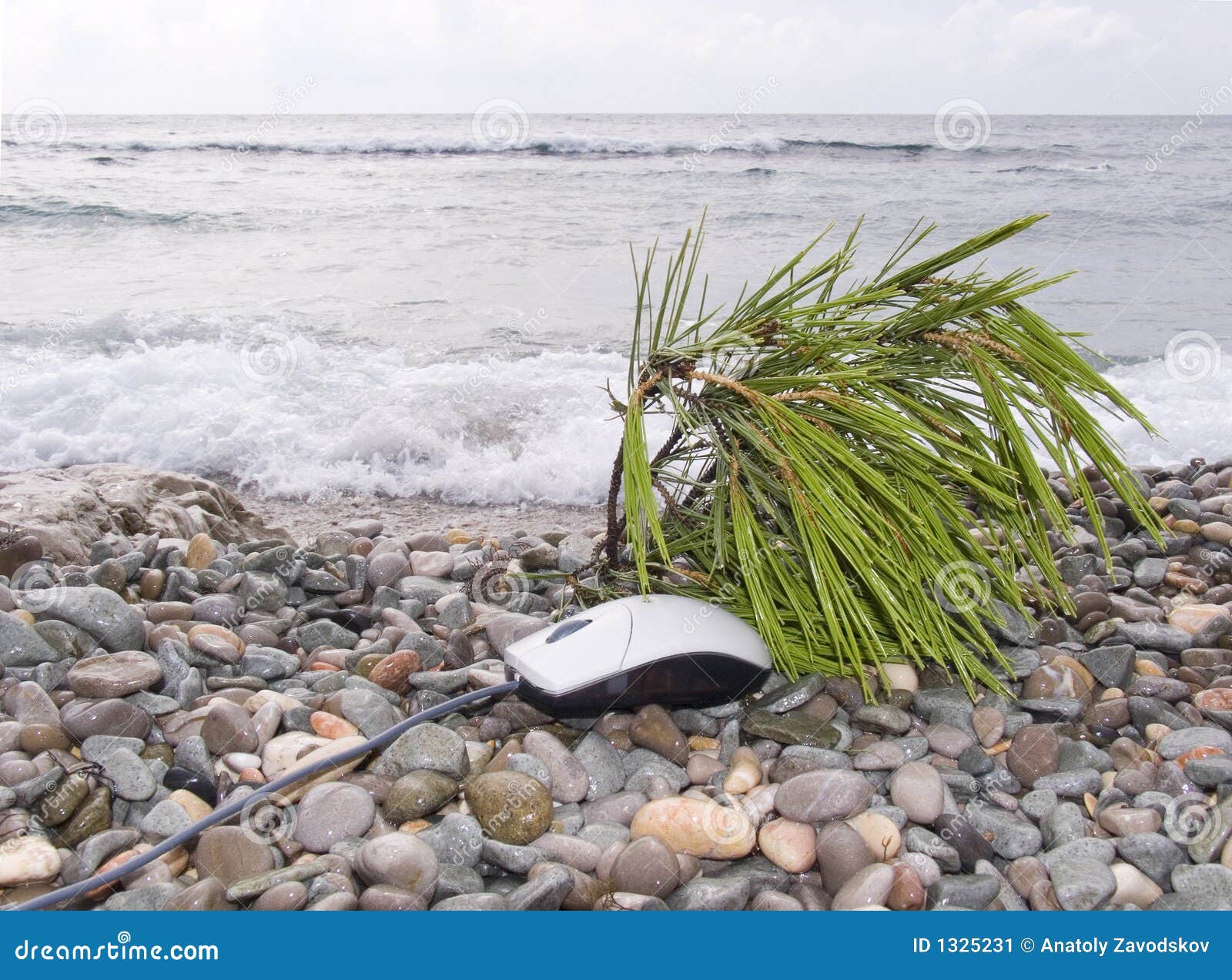 The Computer Mouse on a Beach Stock Image - Image of breaker, beach ...