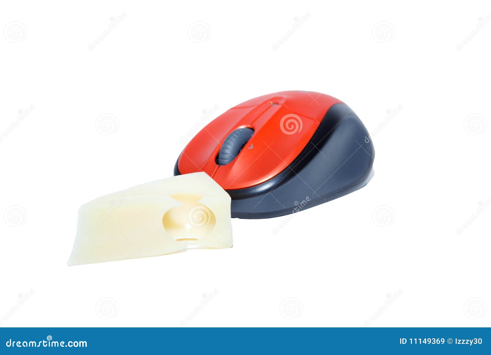 Computer Mouse with Cheese on Isolated White Stock Image - Image of ...