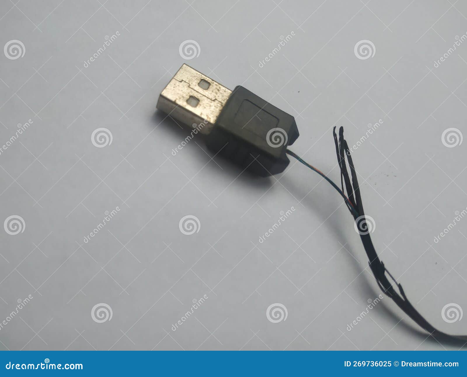 The Computer Mouse Was Damaged by Being Bitten by a Mouse Stock Image ...