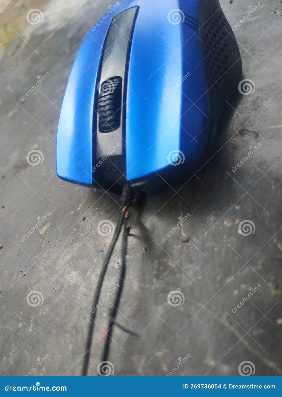 The Computer Mouse Was Damaged by Being Bitten by a Mouse Stock Photo ...