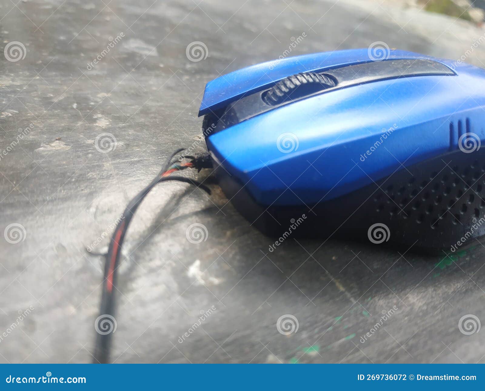 The Computer Mouse Was Damaged by Being Bitten by a Mouse Stock Photo ...