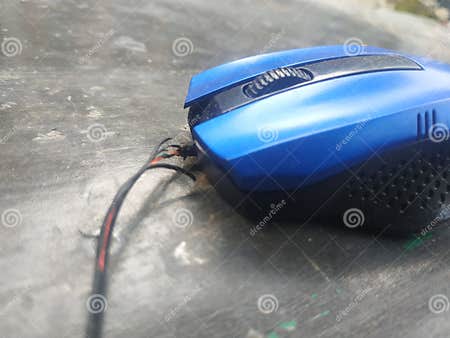 The Computer Mouse Was Damaged by Being Bitten by a Mouse Stock Photo ...