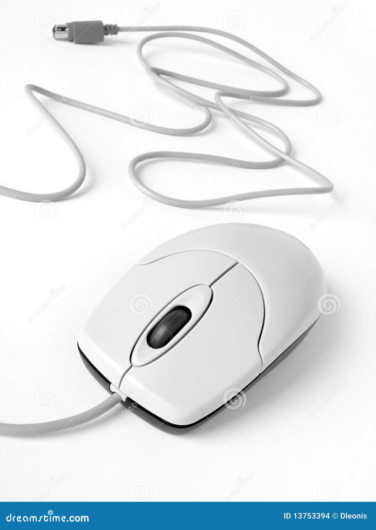 36,174 Mouse Closeup Stock Photos - Free & Royalty-Free Stock Photos ...