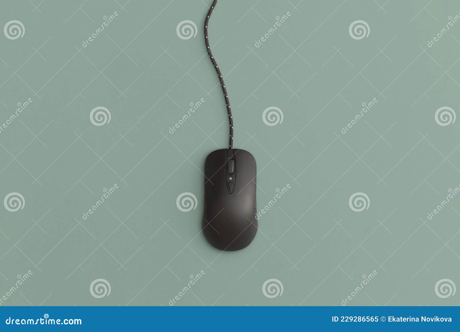 Computer Mouse on Color Background, Technology Concept Stock Image ...