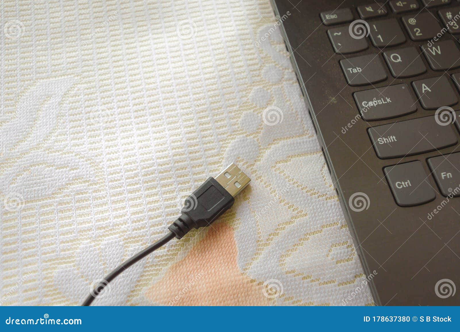 Computer Mouse Connection Cable Plugin Placed in Front of the Laptop ...