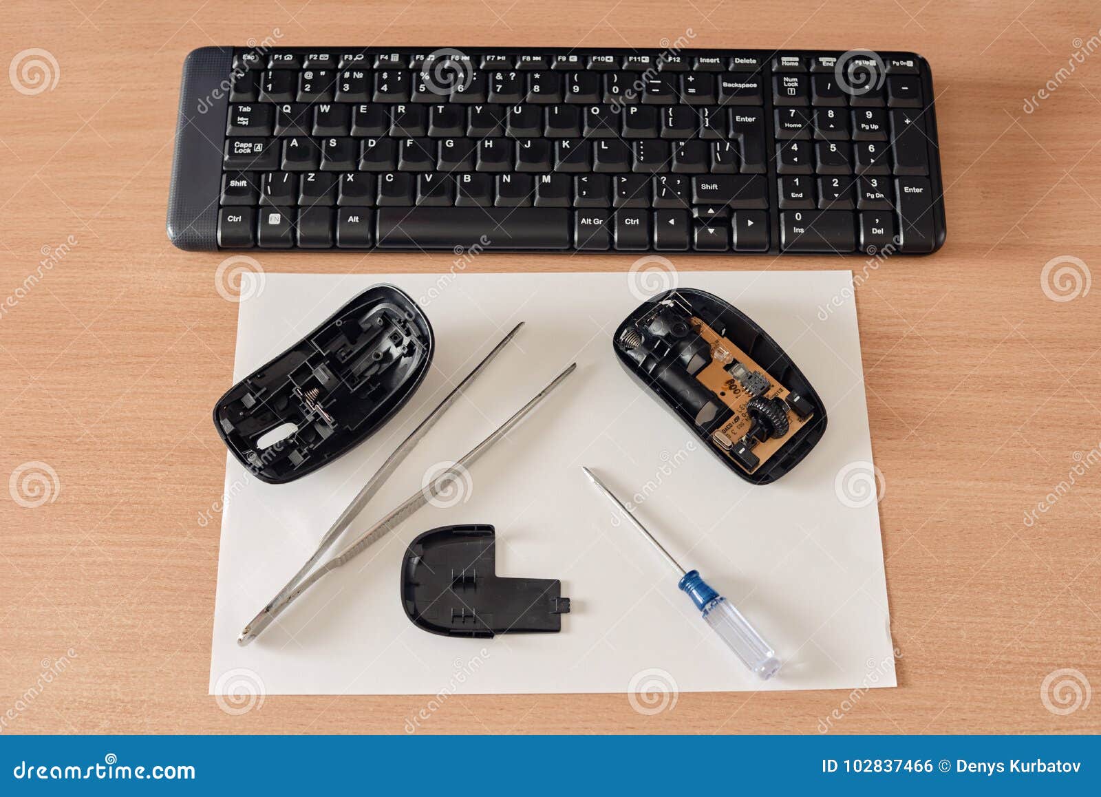 Computer mouse dismantle stock photo. Image of clean - 102837466