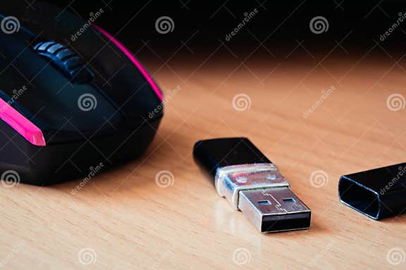 Computer Mouse and Flash Drive Stock Photo - Image of information ...