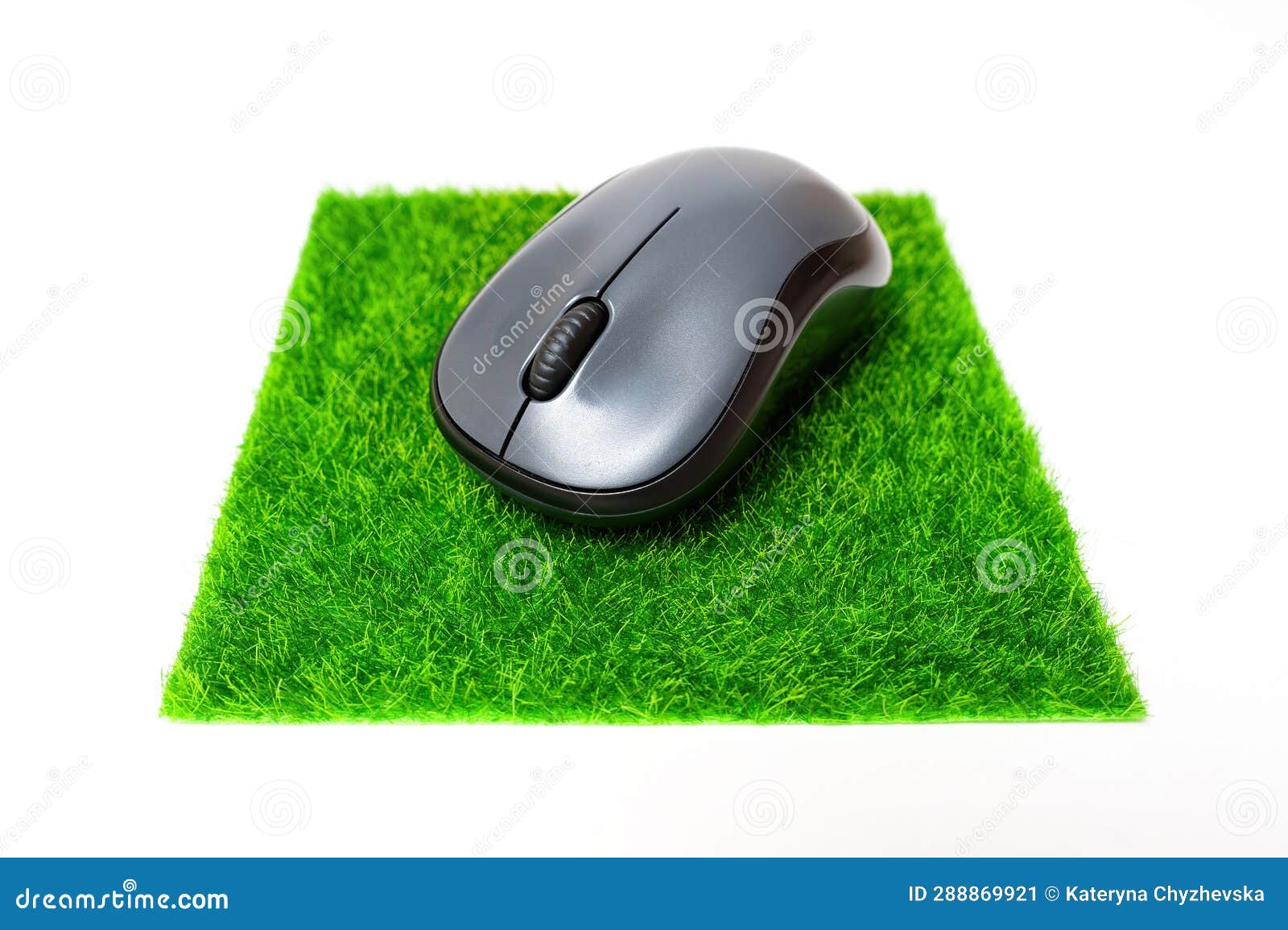 Computer Mouse on a Grass Mousepad Stock Image - Image of essentials ...
