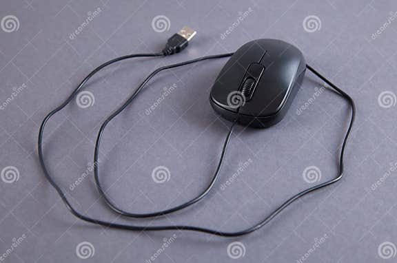 Computer Mouse on an Isolated Gray Background Stock Photo - Image of ...