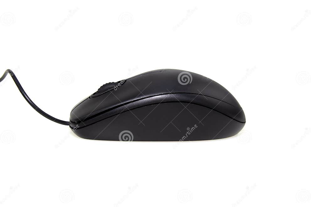 Computer Mouse Isolated on the White Background Stock Photo - Image of ...