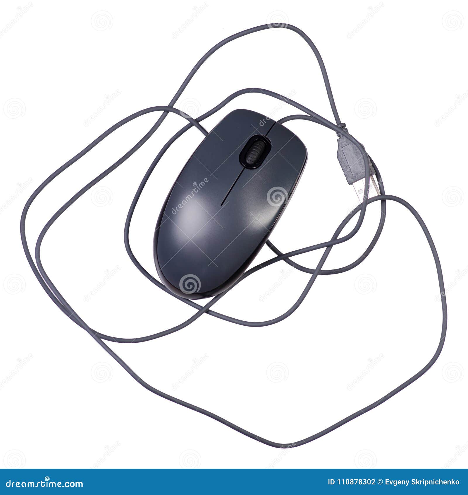 Computer mouse isolation stock photo. Image of personal - 110878302