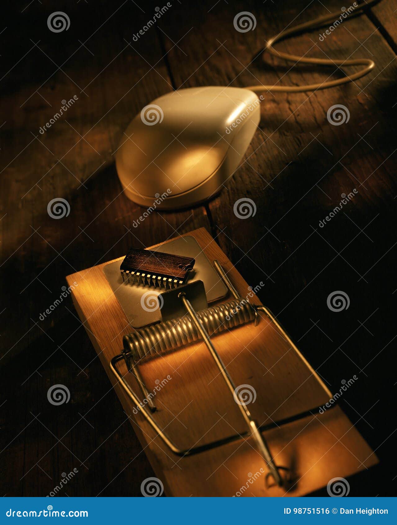 Computer Mouse and Mousetrap with Microchip As Bait Stock Photo - Image ...