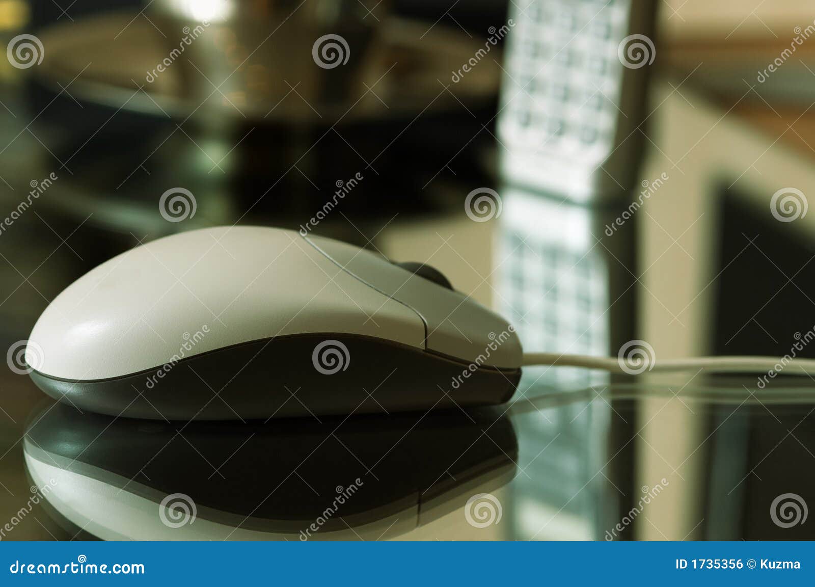 Computer Mouse with Reflection Stock Photo - Image of internet ...