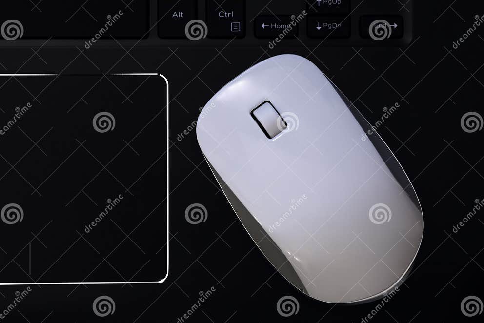 Computer Mouse with Scroll Wheel and Touchpad. PC Mouse for Laptop ...