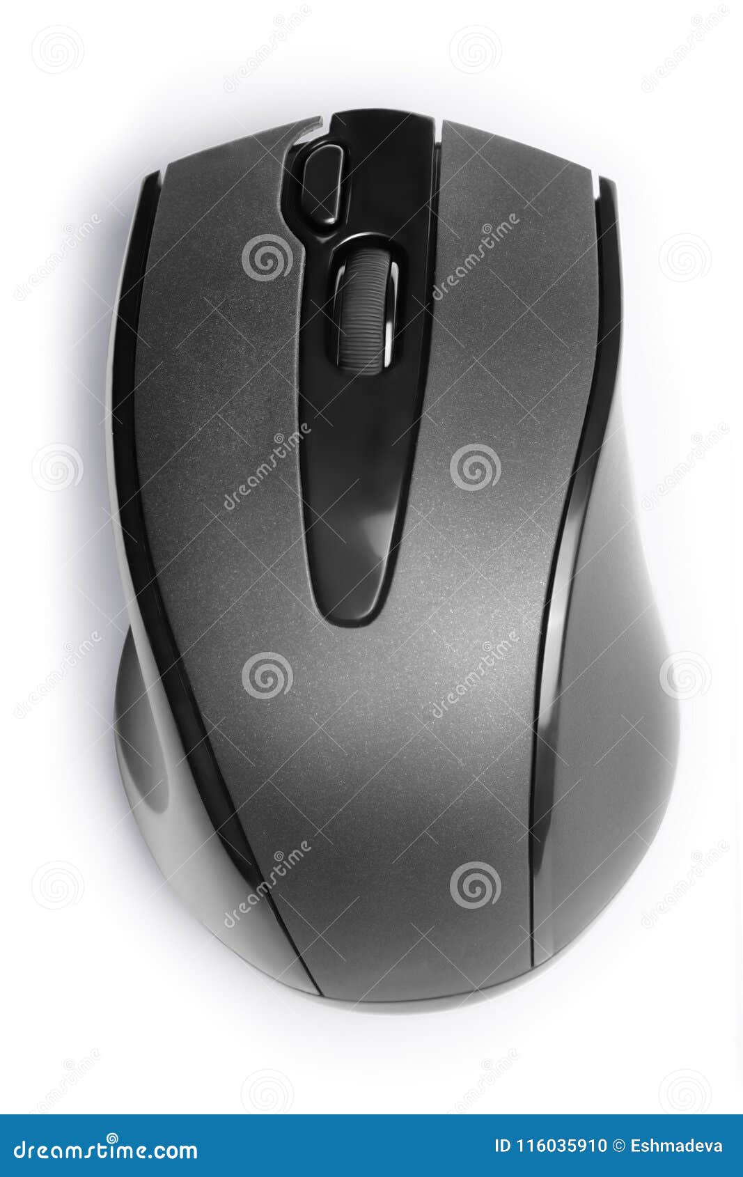 Computer Mouse Top View Isolated with Clipping Path Stock Photo - Image ...