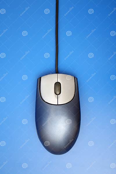 Computer mouse top view stock photo. Image of technology - 33478144