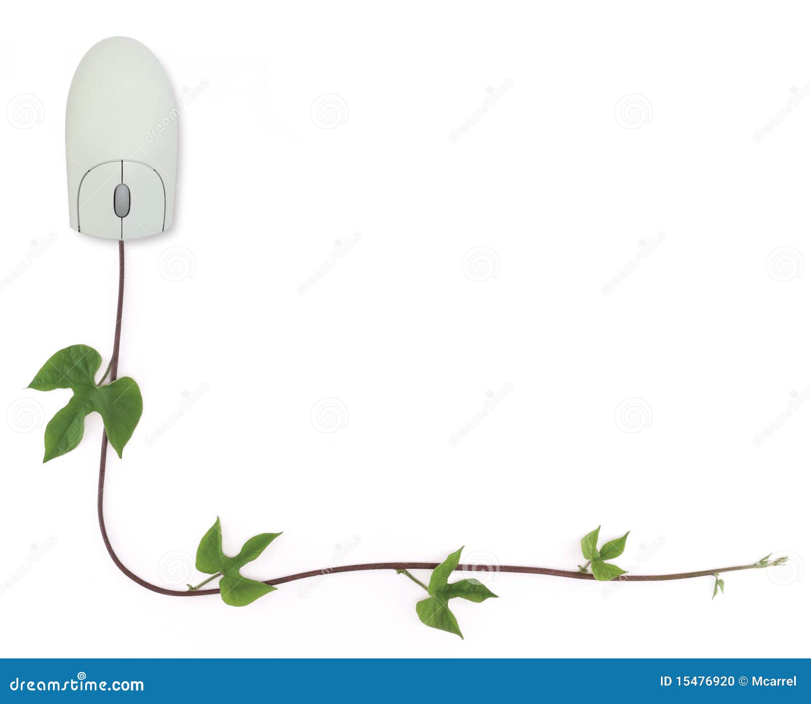 Computer border clip art