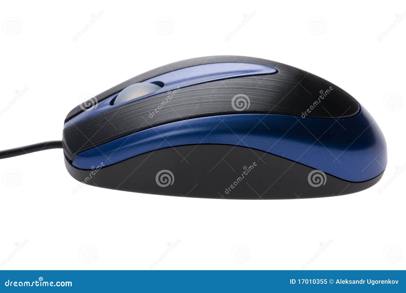 Computer Mouse on White Macro Stock Image - Image of white, accessory ...