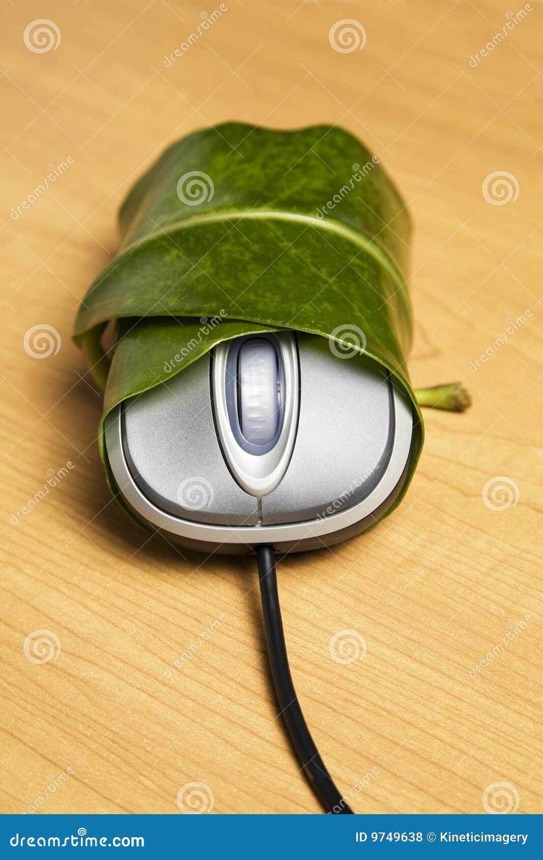 Computer Mouse Wrapped in a Leaf Stock Photo - Image of internet ...