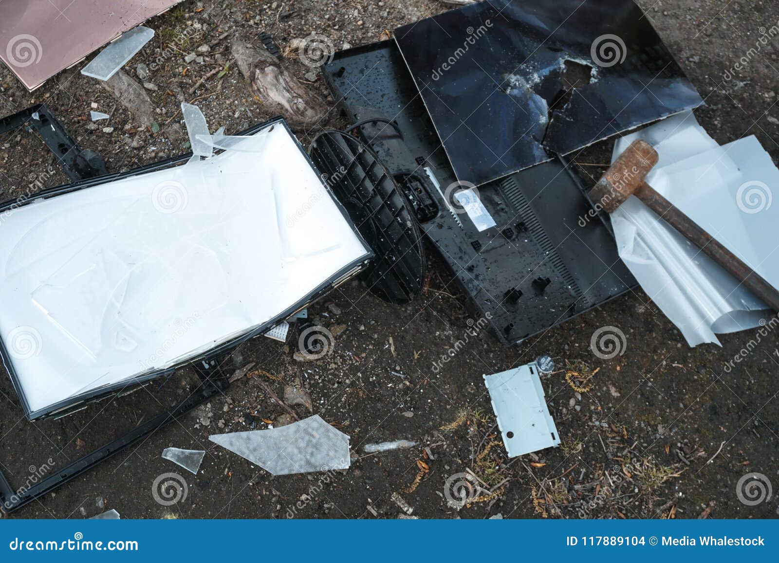 Computer in Nature. the Concept of the Importance of Nature in the ...