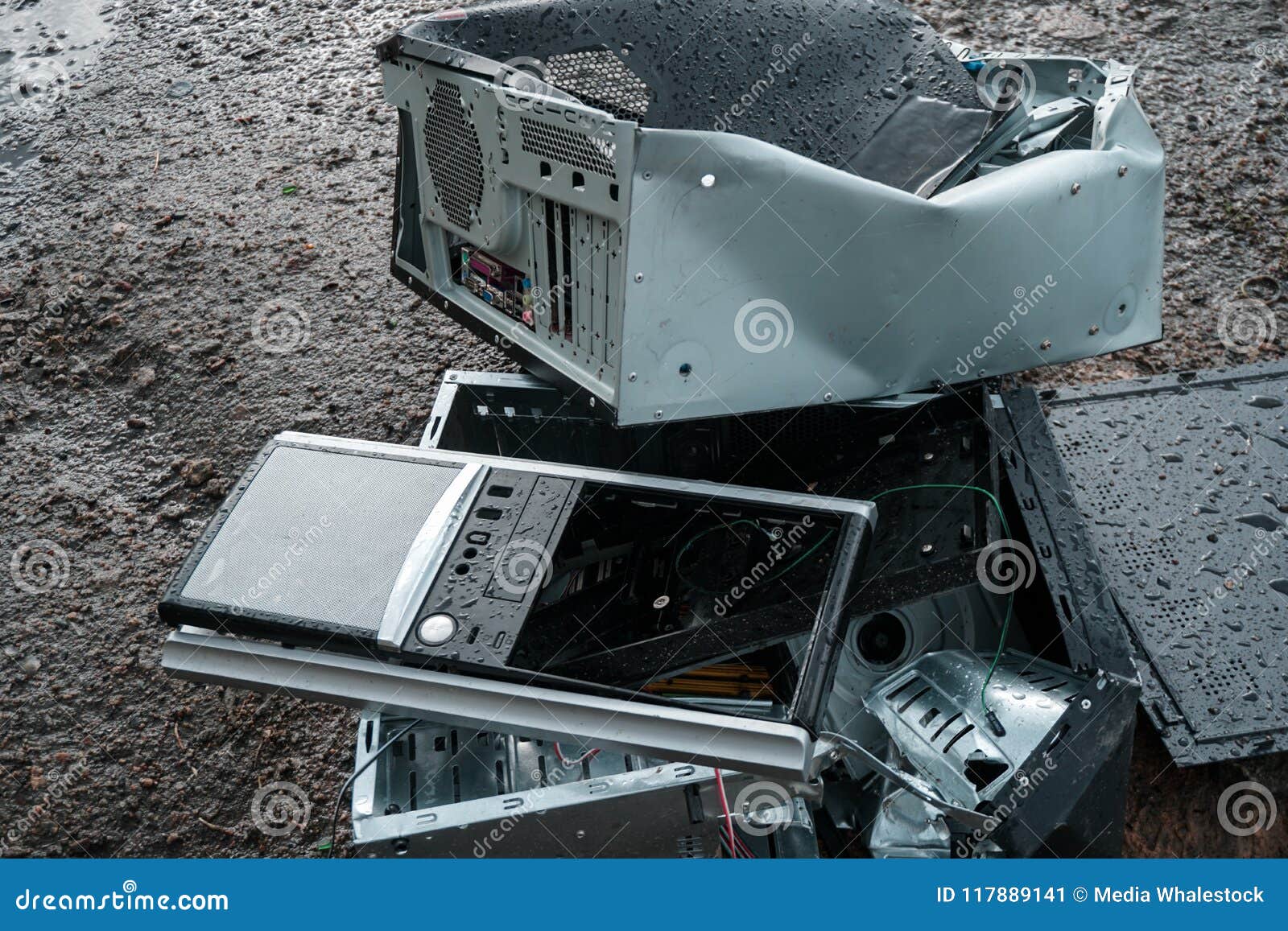 Computer in Nature. the Concept of the Importance of Nature in the ...