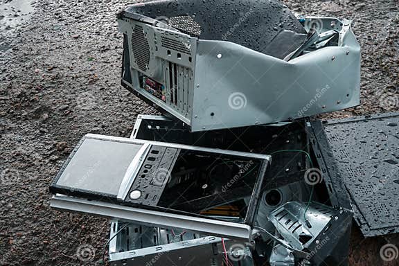 Computer in Nature. the Concept of the Importance of Nature in the ...