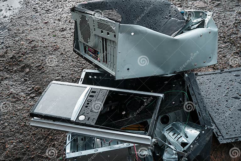 Computer in Nature. the Concept of the Importance of Nature in the ...