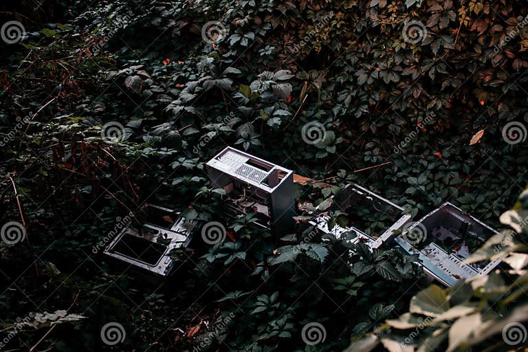 Computer in nature editorial image. Image of technology - 177435240