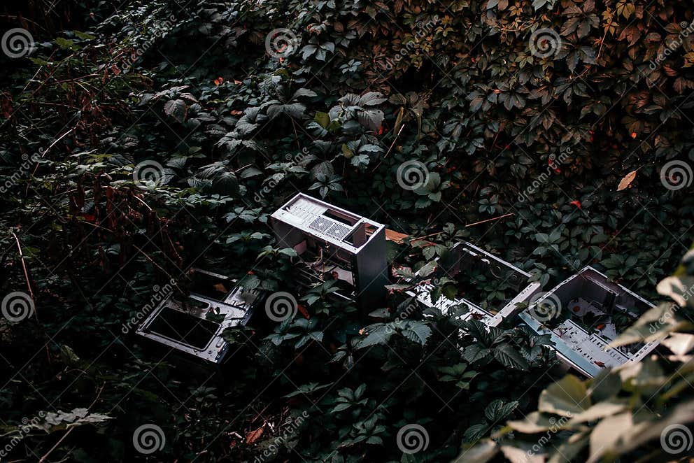 Computer in nature editorial image. Image of technology - 177435240