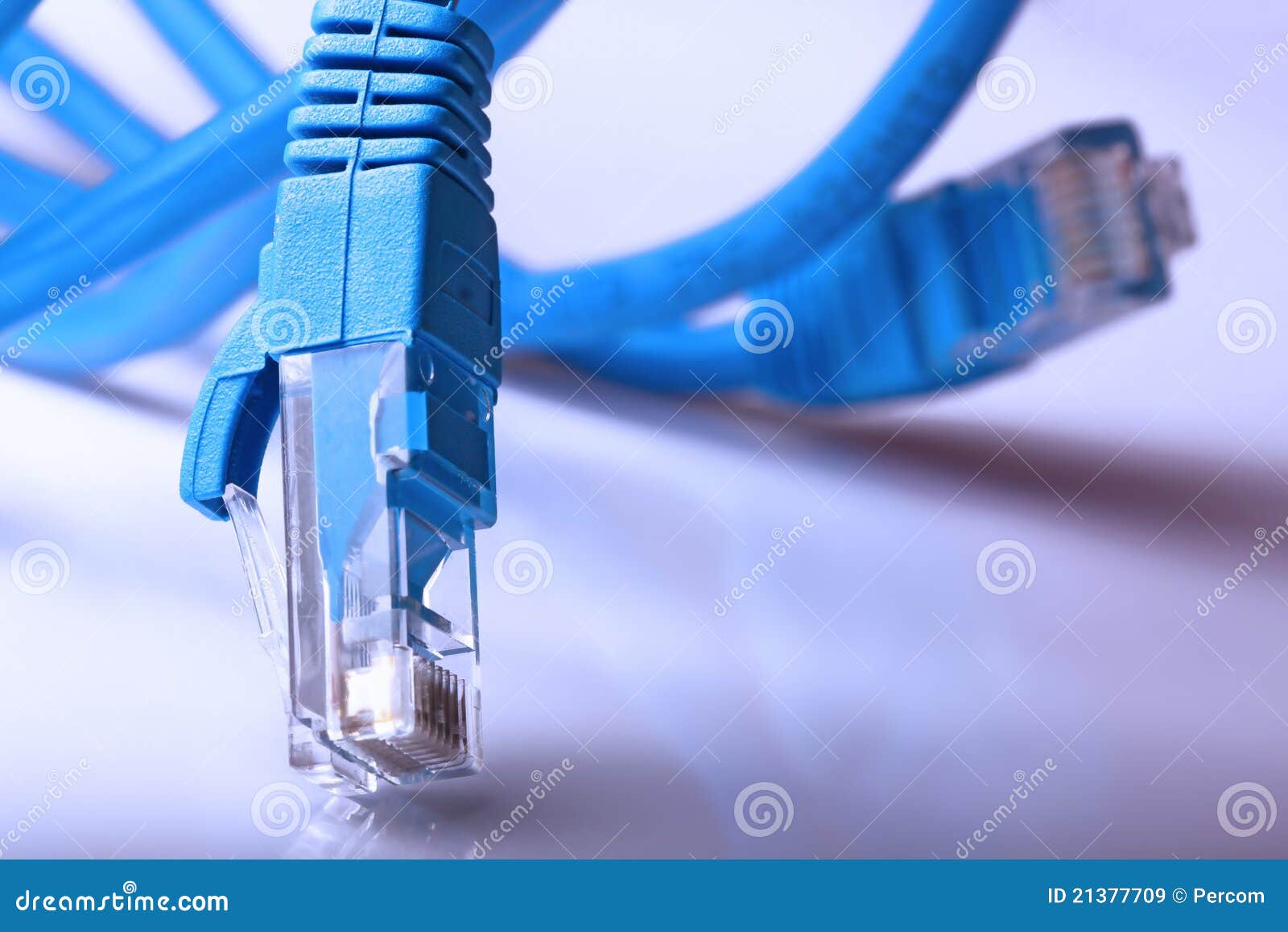 Computer Network Cable stock image. Image of connection - 21377709