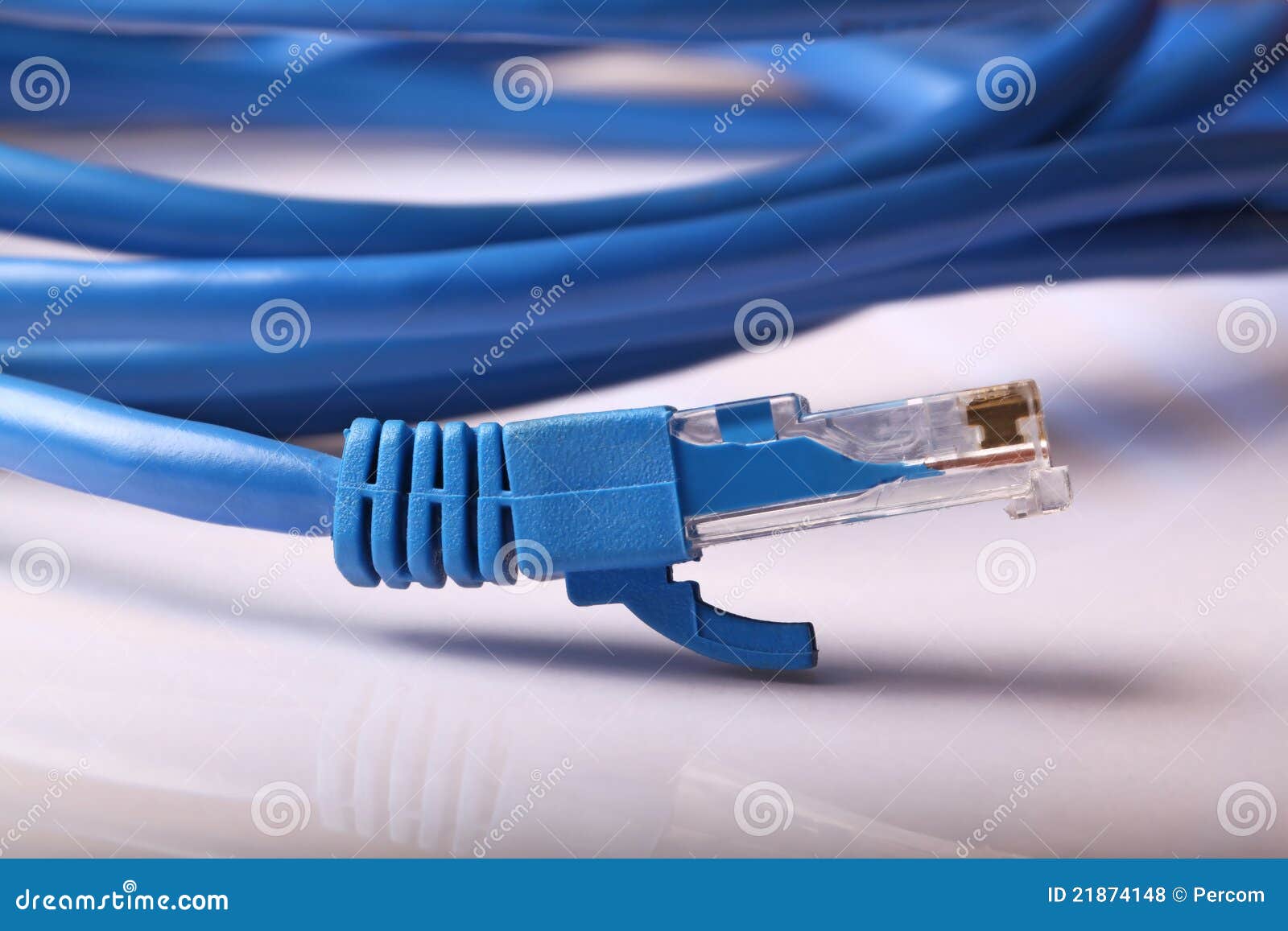 Computer Network Cable stock photo. Image of communication - 21874148