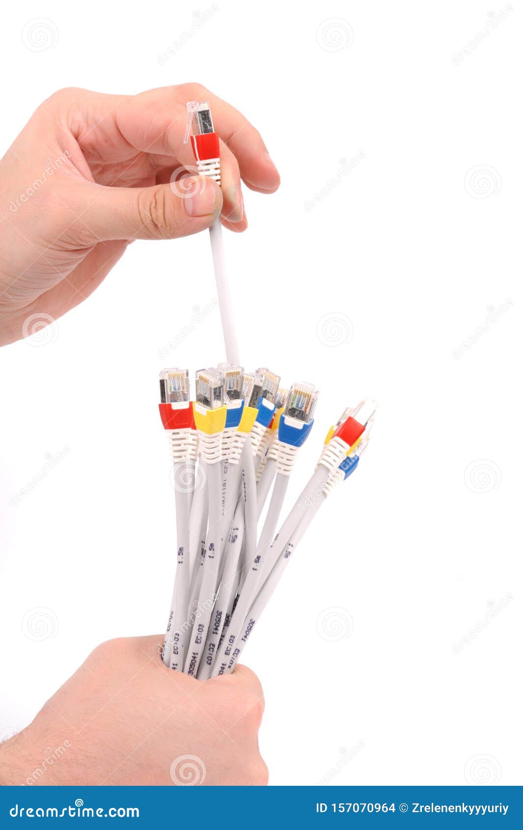 Computer Network Cables in the Hands Isolated on White Background Stock ...