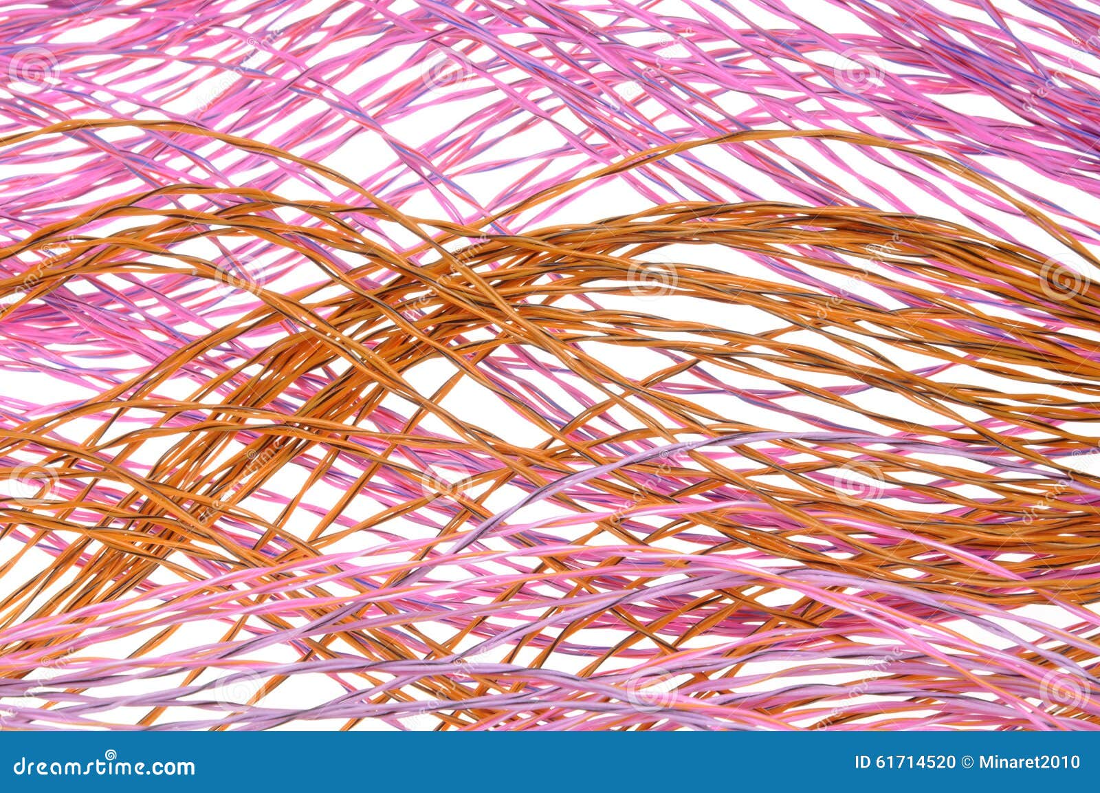 Computer Network Color Cables Stock Photo - Image of data, internet ...