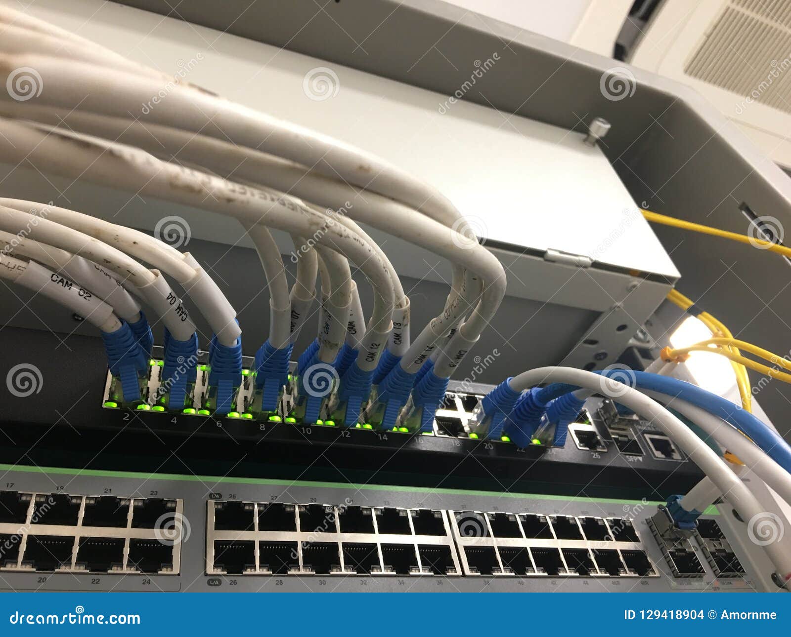 Computer Network Signal Cable Stock Photo - Image of device, tester ...