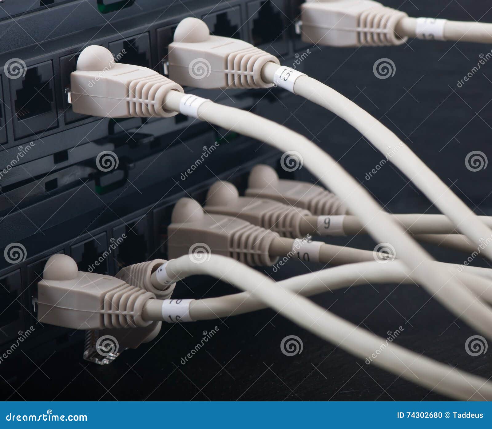 Computer Networks, New Technologies. Stock Photo - Image of closeup ...