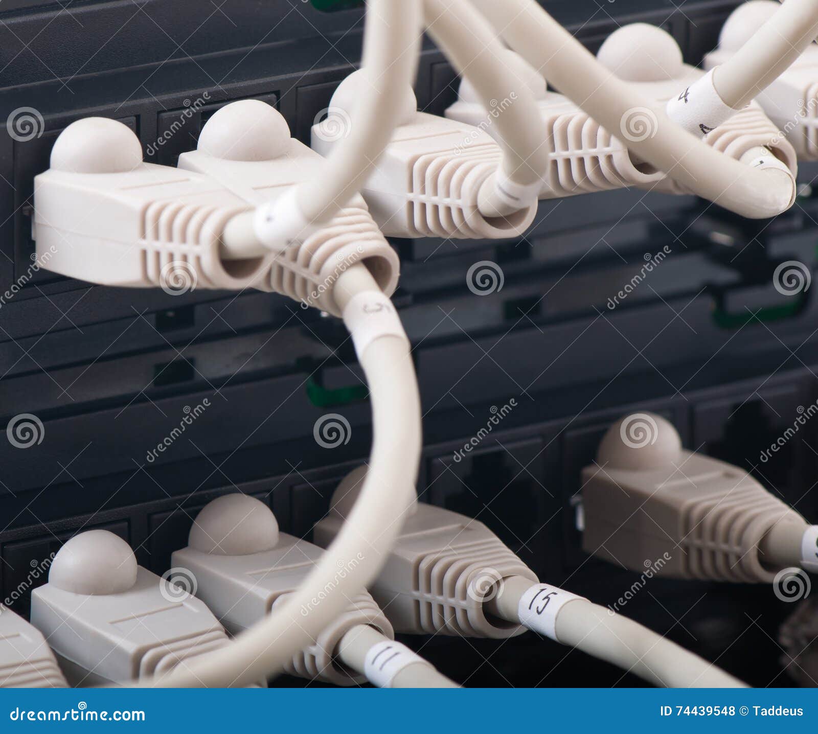 Computer Networks, New Technologies. Stock Photo - Image of data ...