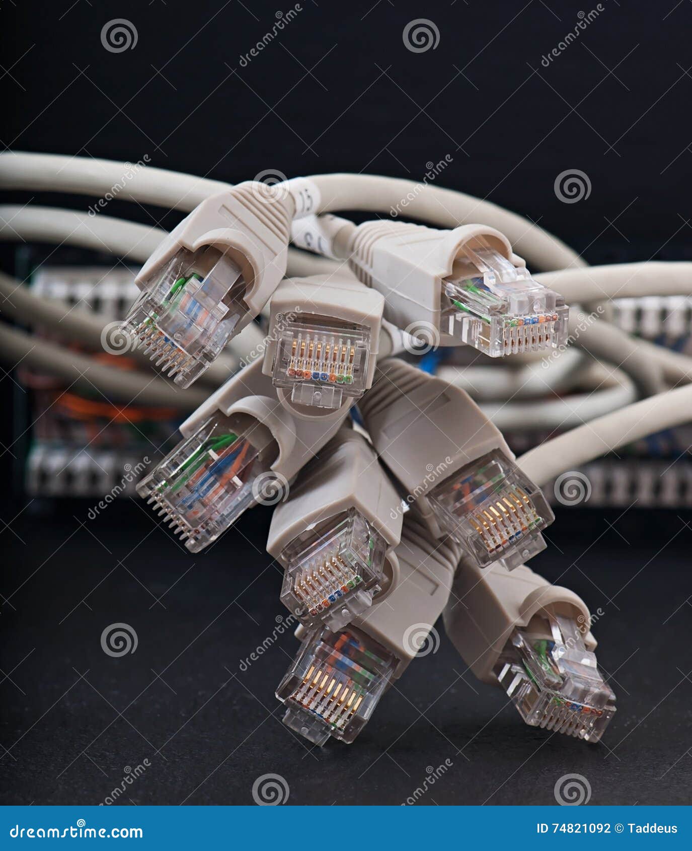 Computer Networks, New Technologies. Stock Photo - Image of fiber ...