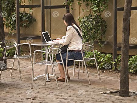 Computer in the Park stock image. Image of plants, stockings - 118189