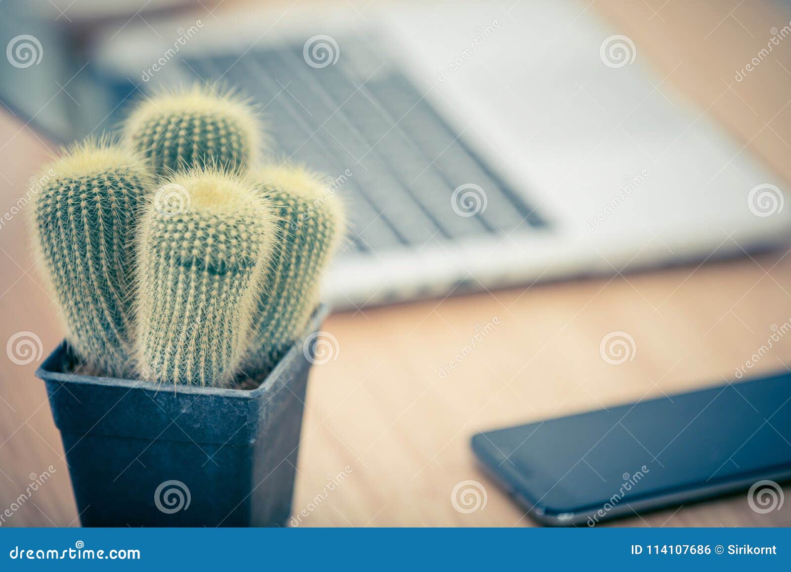 Computer Peripherals & Laptop Accessories Stock Photo - Image of data ...