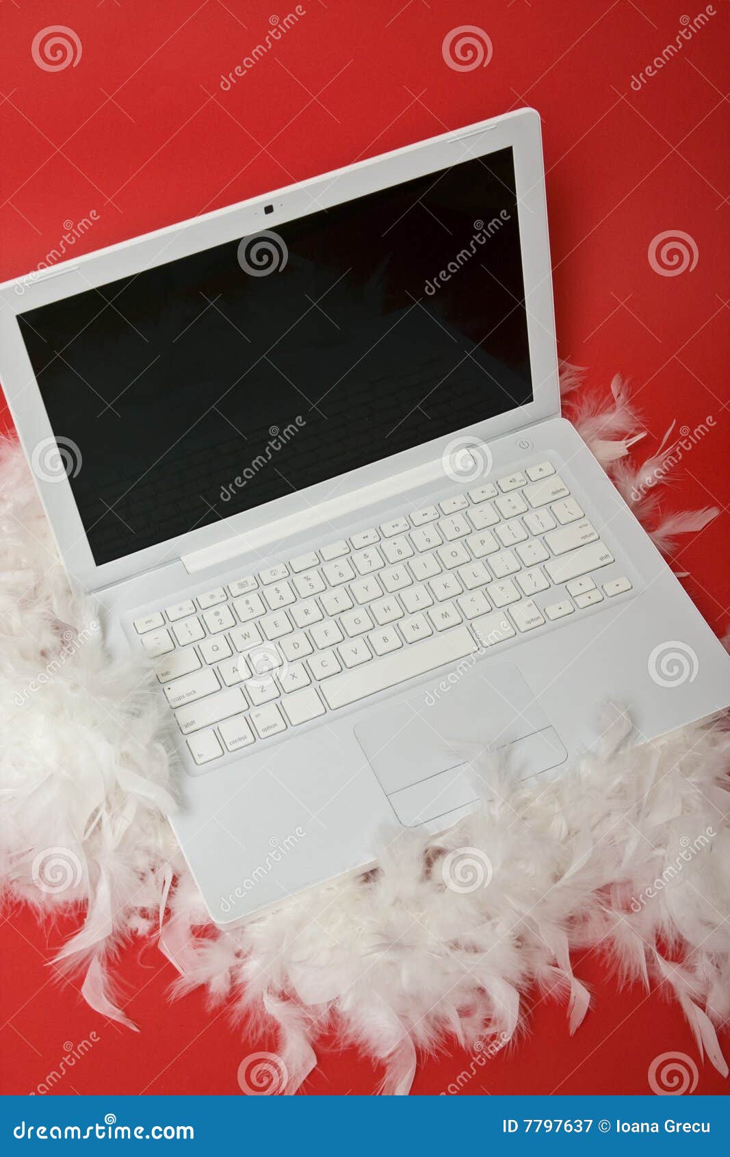 Computer portatile immagine stock. Immagine di piume, rosso - 7797637
