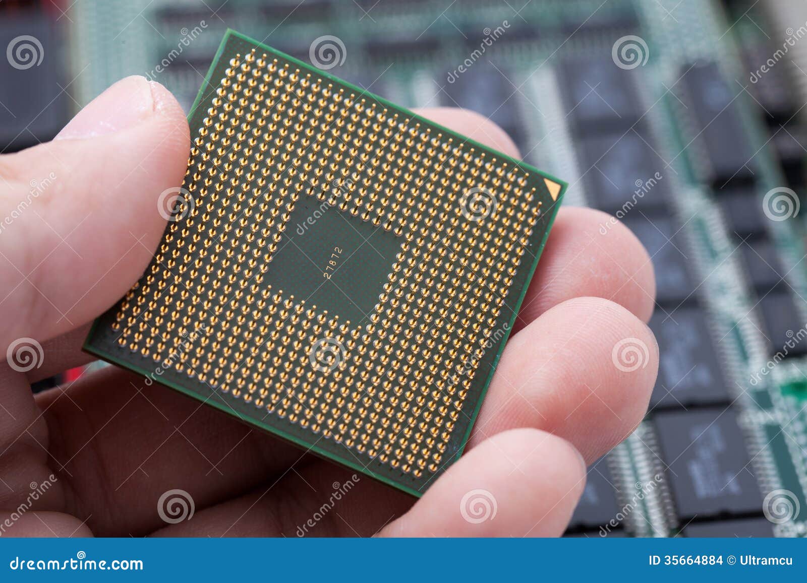 Computer Processer on hand stock photo. Image of chip - 35664884