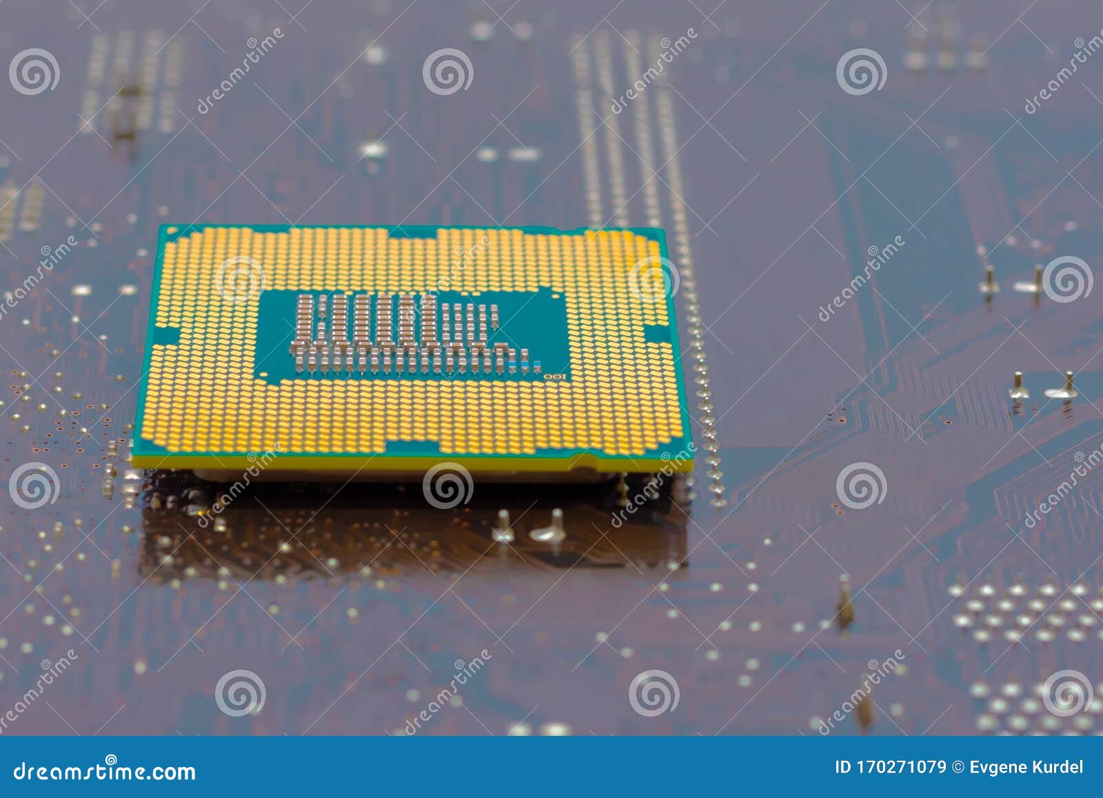 The Processor Lies on the Chip with Its Contacts Facing Up. Close-up of ...