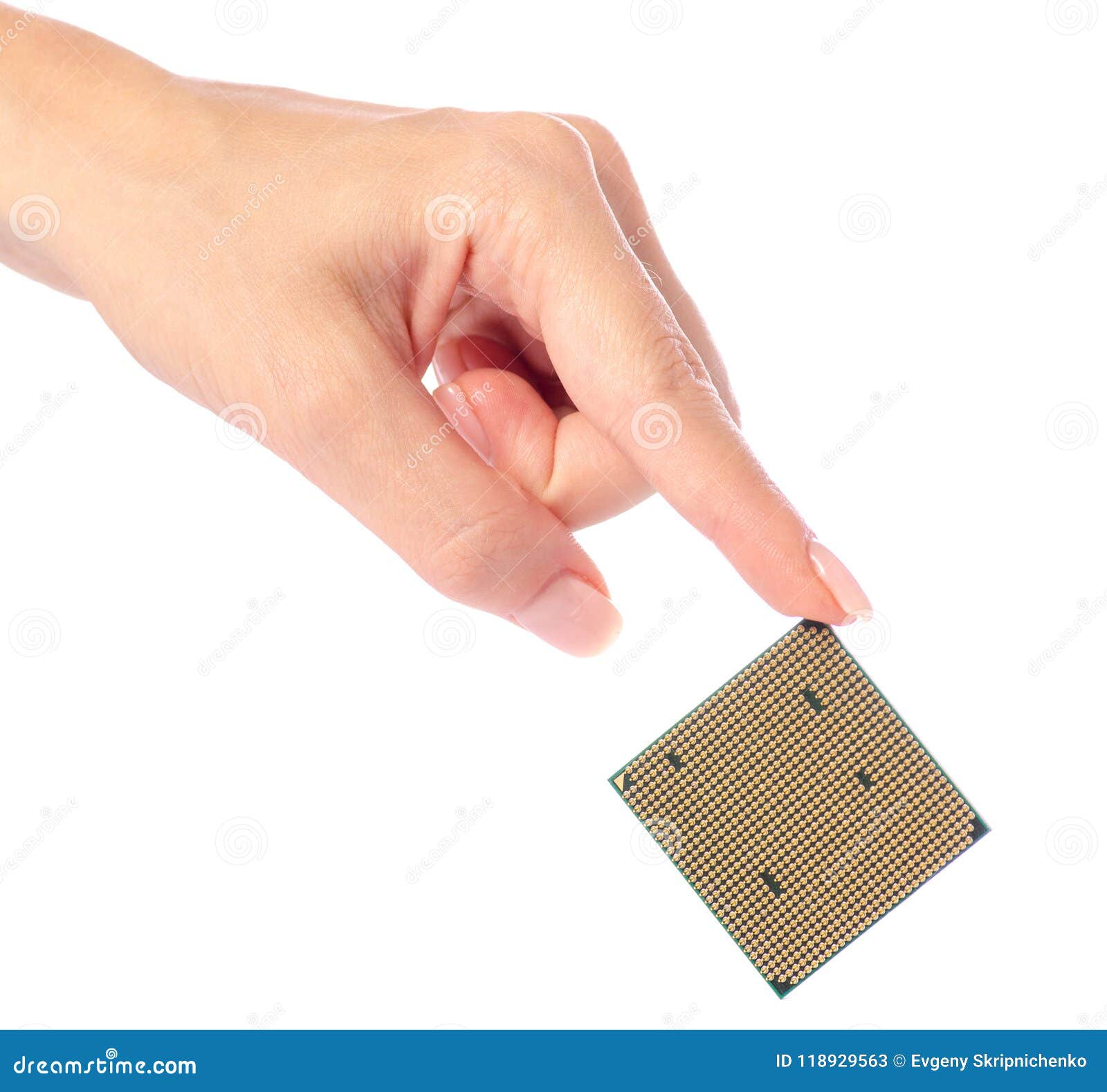 Computer Processor Electronic in Hand Stock Image - Image of circuit ...