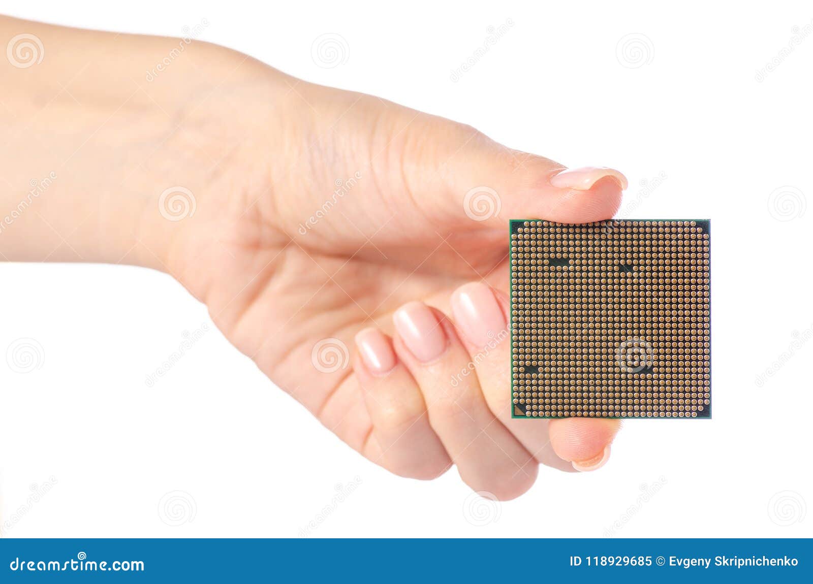 Computer Processor Electronic in Hand Stock Image - Image of close ...