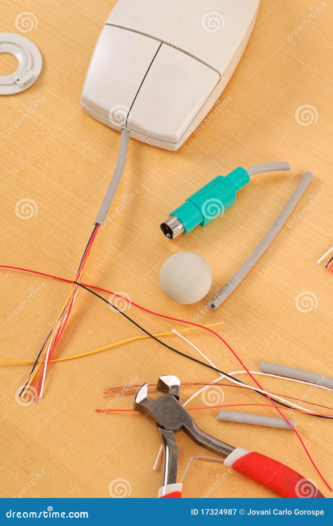 Mouse Wiring Photos - Free & Royalty-Free Stock Photos from Dreamstime