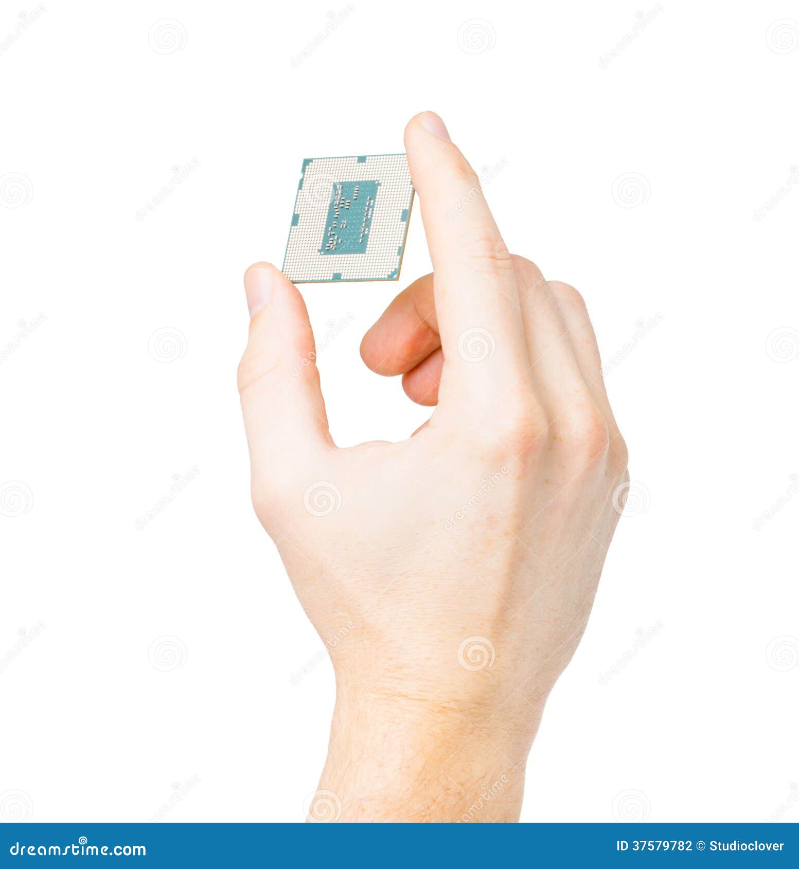 Computer S Processor in Hand Isolated on a White Background Stock Photo ...