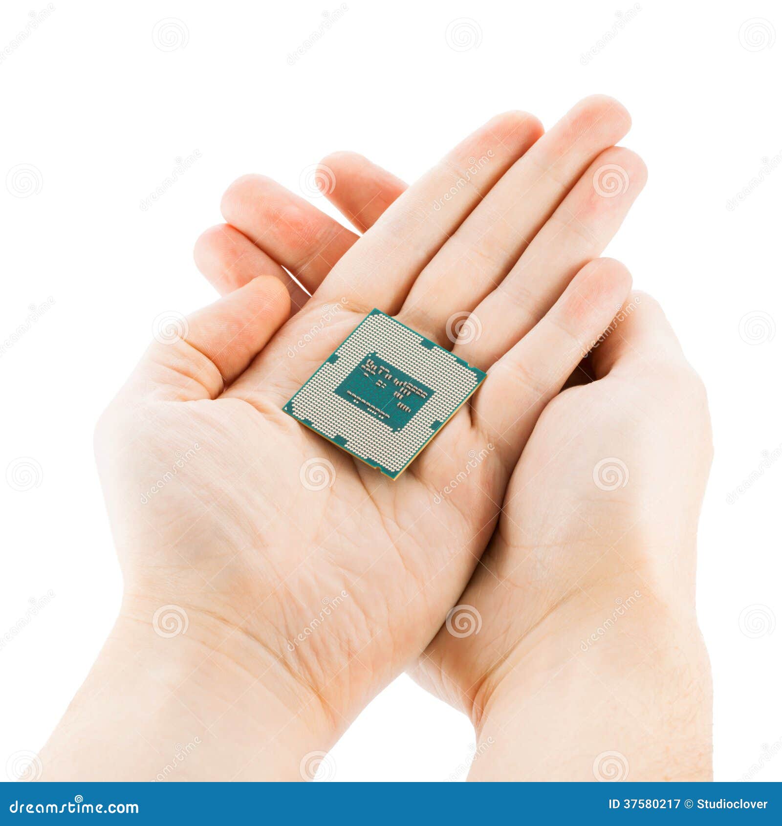Computer S Processor in Hand Isolated on a White Background Stock Image ...