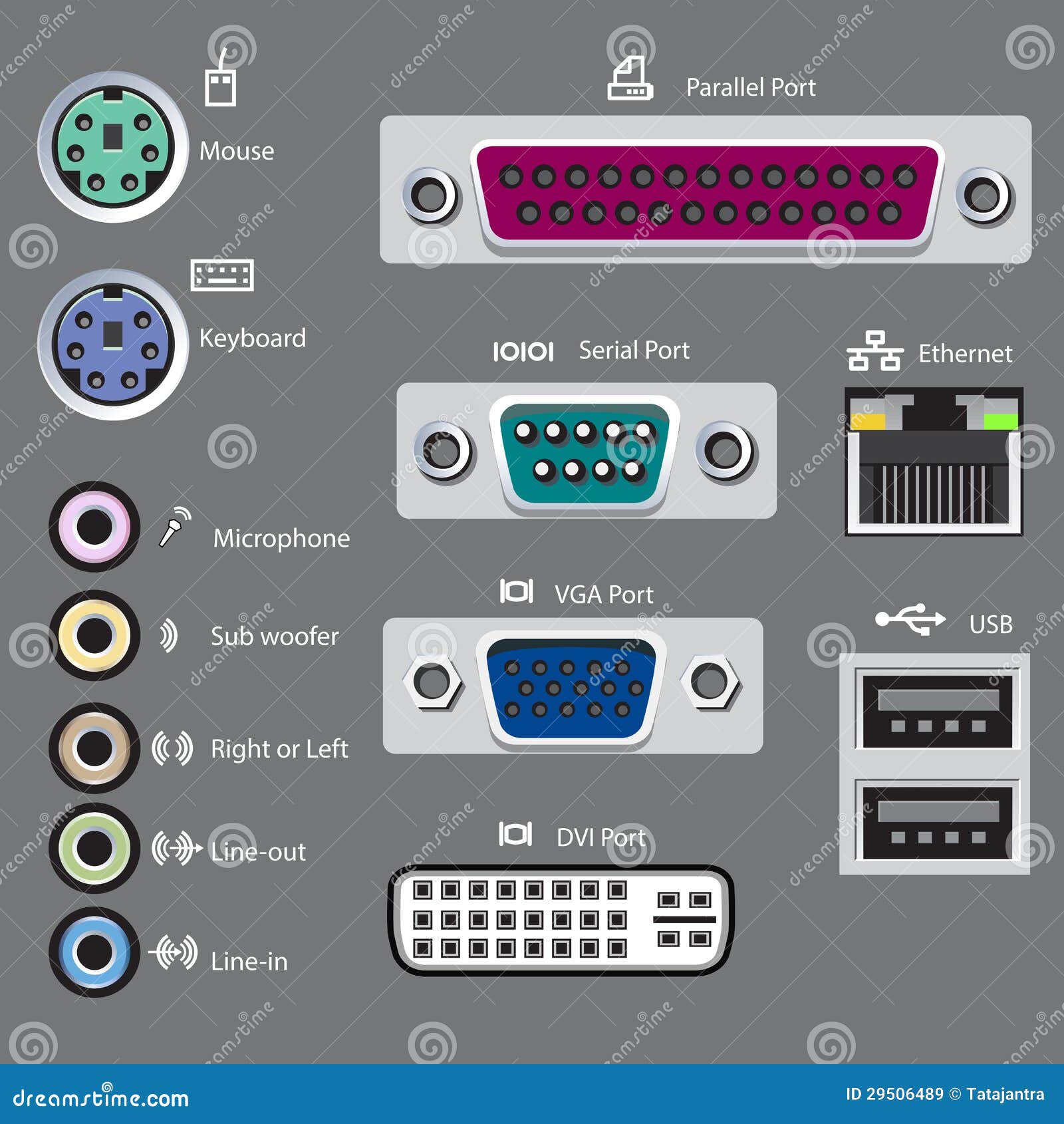 Computer Schließt Typen an Den Port an Vektor Abbildung - Illustration ...